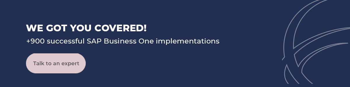 Wisys Wms Addon For Sap Business One